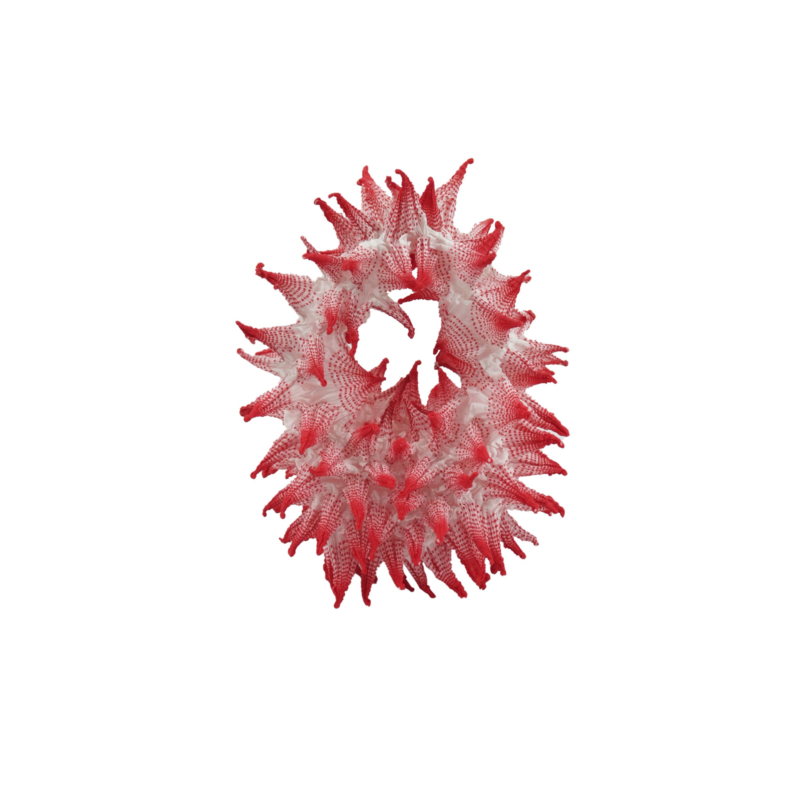 Ruby Point (Maxi) – Fuguku